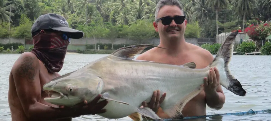 Chao Phraya Catfish | Our Fish | TopCats Fishing Resort Thailand