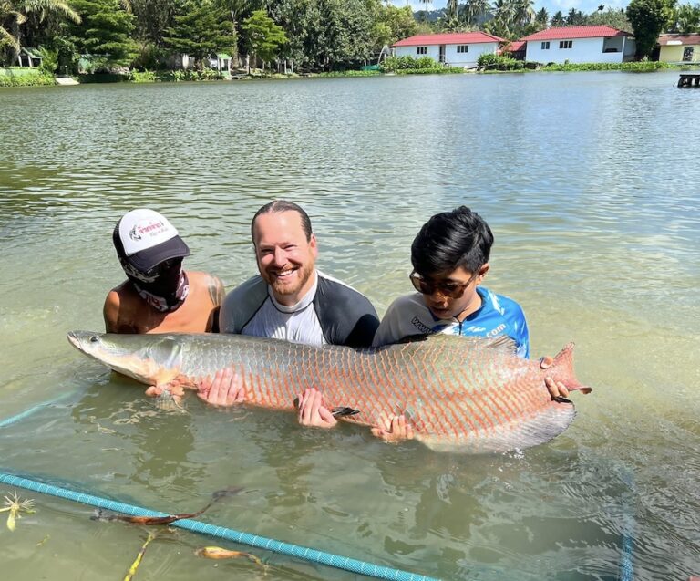 Arapaima Scales | Thailand Fishing Blog