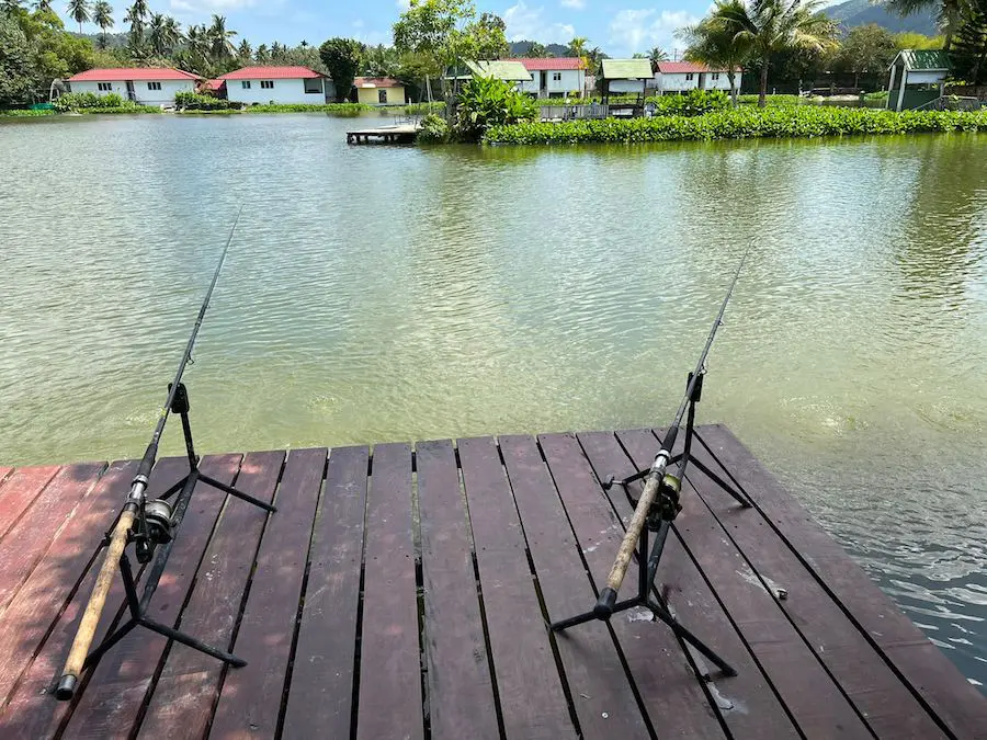 Arapaima Scales | Thailand Fishing Blog